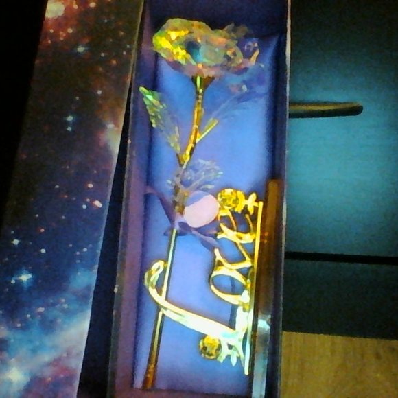 Rose Alout | Other | Galaxy Rose | Poshmark